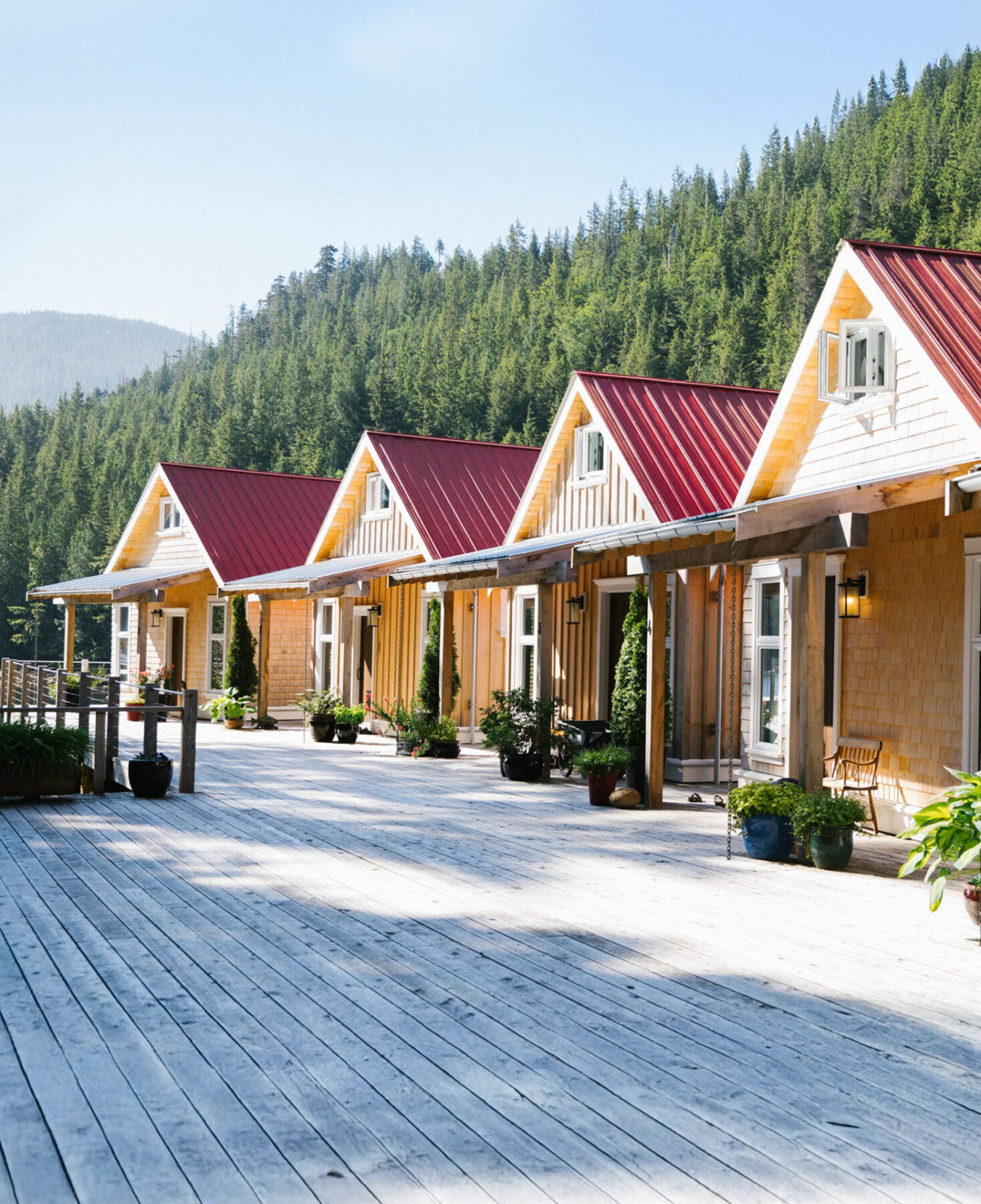 Wilderness Lodge | Our Cabins | Nimmo Bay Resort